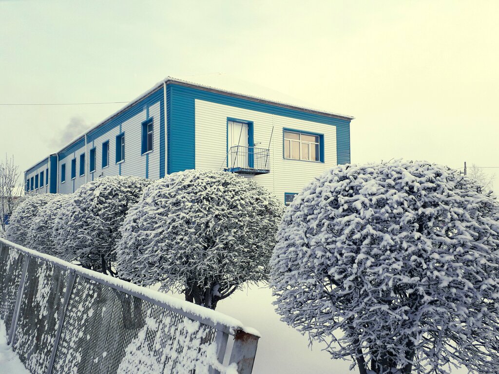 Anaokulları Solnyshko, Novosibirskaya oblastı, foto