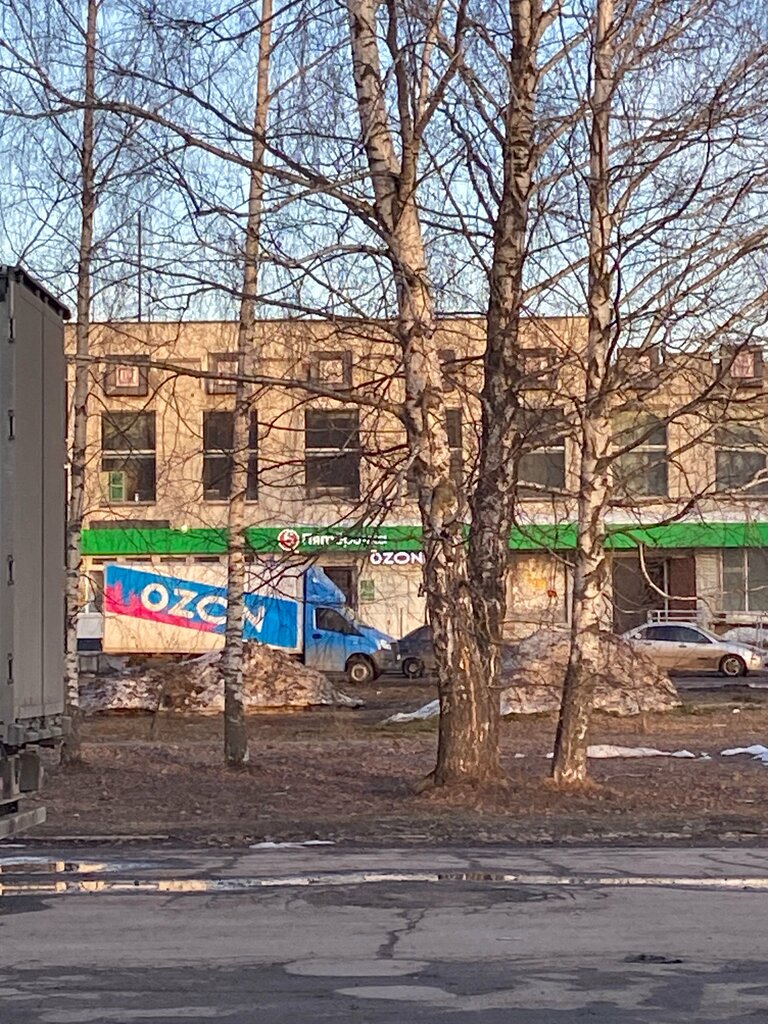 Süpermarket Pyatyorochka, Nijegorodskaya oblastı, foto