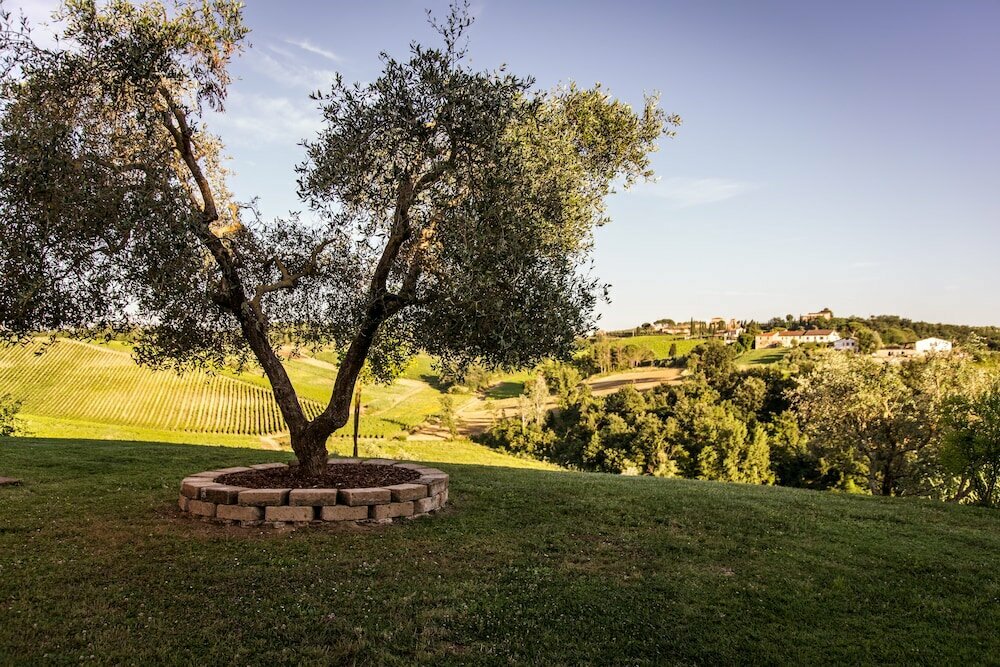 Otel Agriturismo Musignano, Toskana, foto