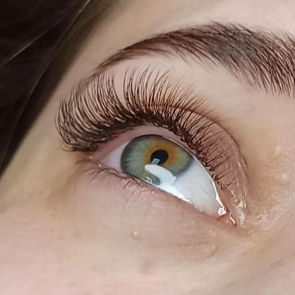 Kaş ve kirpik salonu Lenusa_lashmaker, Moskova ve Moskovskaya oblastı, foto