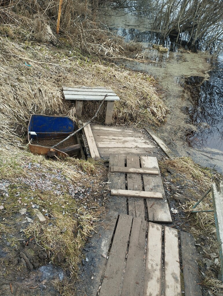Pınar, çay Spring, stream, Saint‑Petersburg ve Leningradskaya oblastı, foto