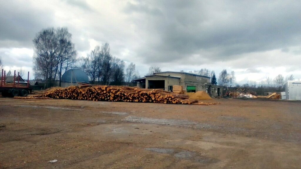Ahşap endüstrisi Kostroma Ağaç İşleme Fabrikası, Kostromskaya oblastı, foto