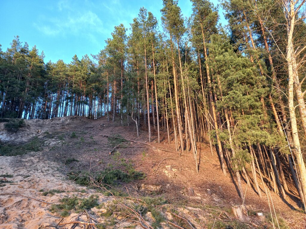 Dağ zirvesi Гора Первый Крутой, Tambovskaya oblastı, foto