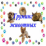 Груминг животных (3-ya Dorozhnaya ulitsa No:2), evcil hayvan kuaförleri  Krasnodar'dan