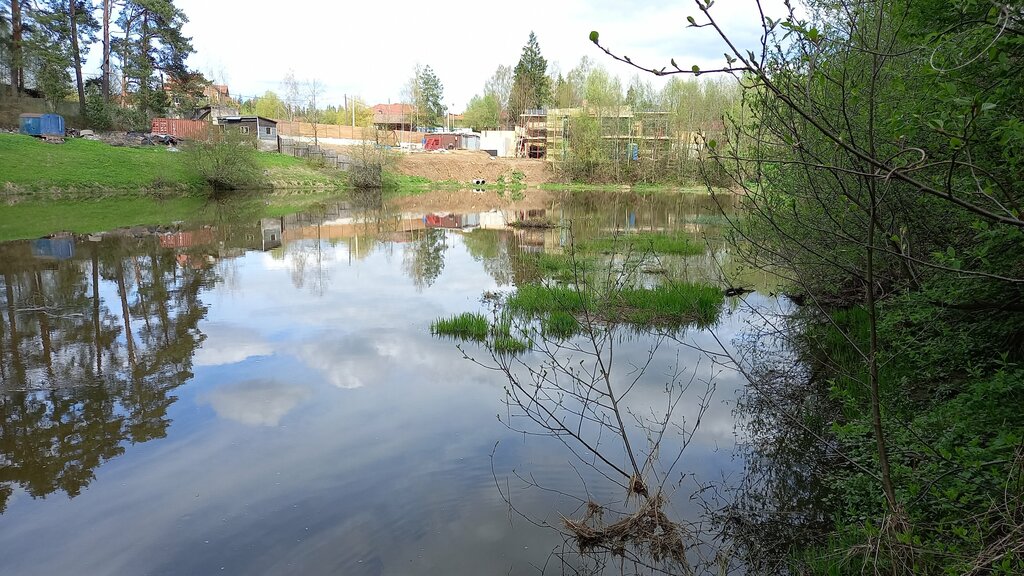 Piknik alanı Место для пикника, Moskova ve Moskovskaya oblastı, foto