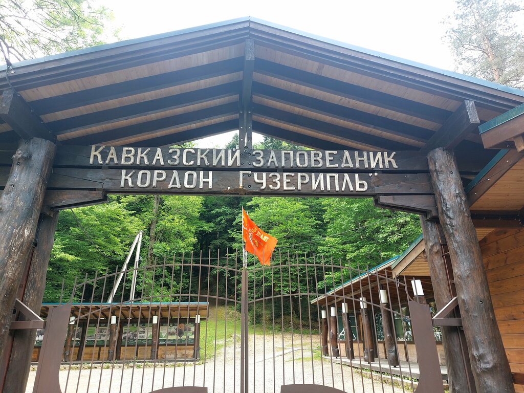 Orman işleri Fgu Kavkazsky gosudarstvenny prirodny biosferny zapovednik, Vostochny otdel, Krasnodarski krayı, foto