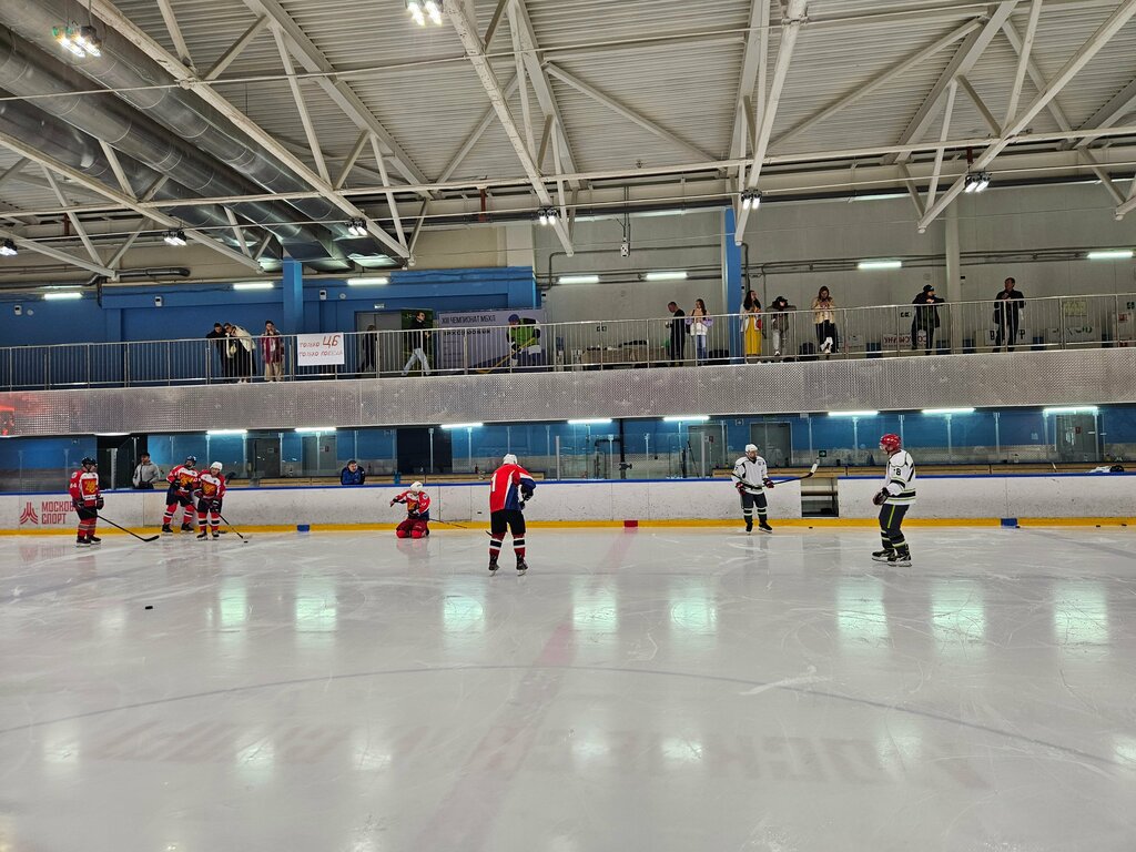 Çok amaçlı spor tesisleri Ice Palace Central, Moskova, foto
