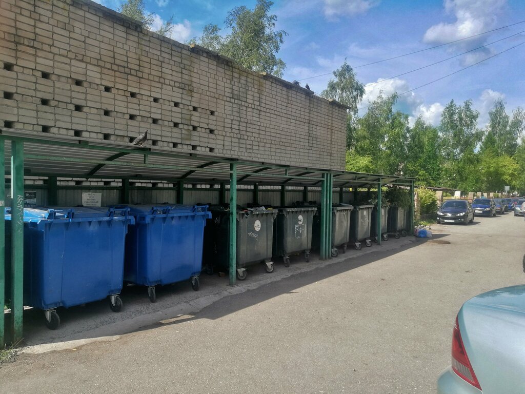 Çöp alanları Trash and garbage disposal area, Novgorodskaya oblastı, foto