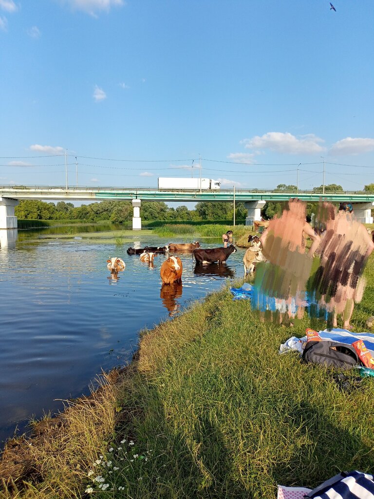 Plaj Пляж, Kurskaya oblastı, foto