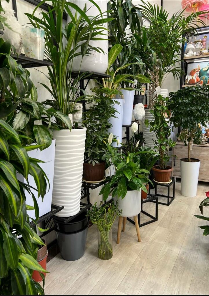 Çiçekçiler Anastasiya, Semerkant, foto