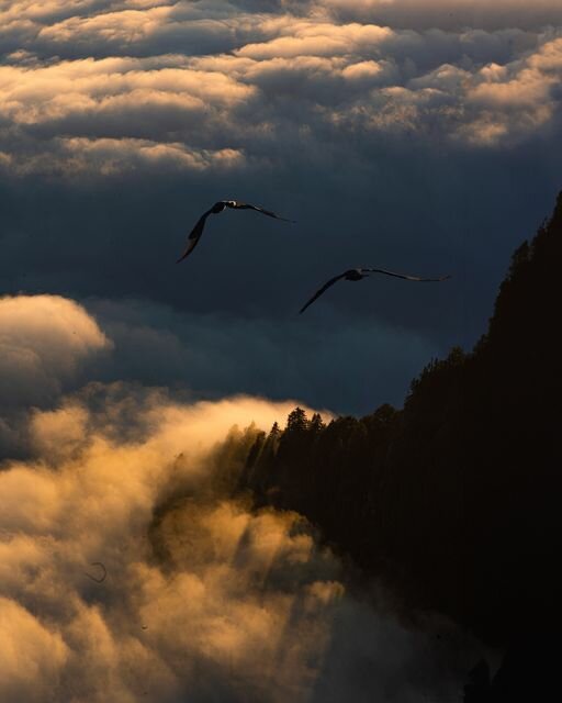 Reklam ajansları Altınkare Ajans, Ankara, foto