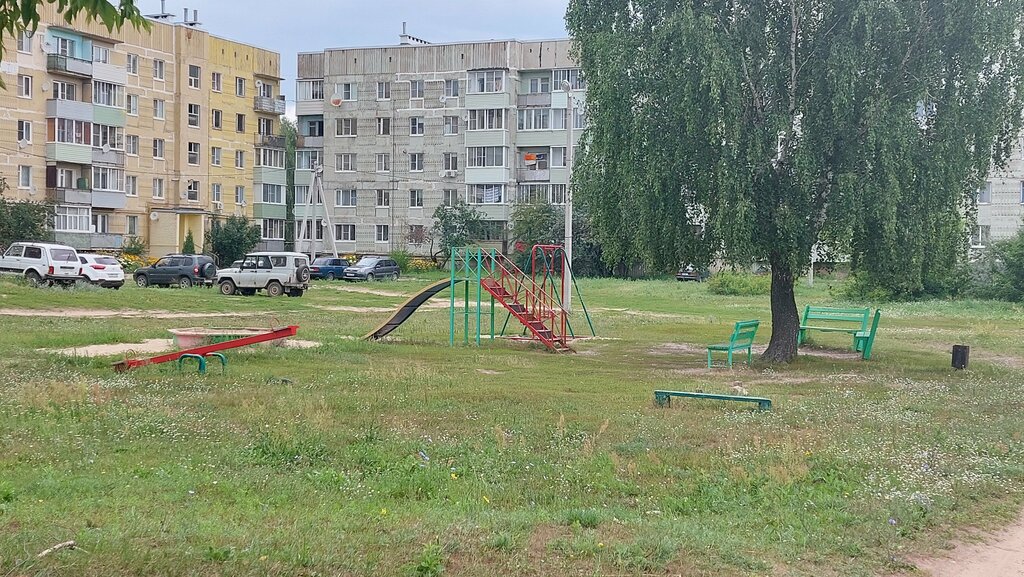 Oyun alanı Playground, Riazanskaya oblastı, foto