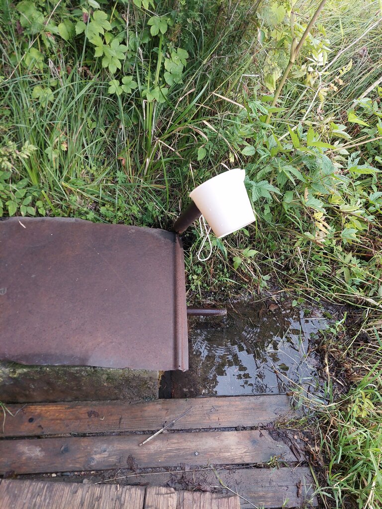 Pınar, çay Spring, stream, Tverskaya oblastı, foto