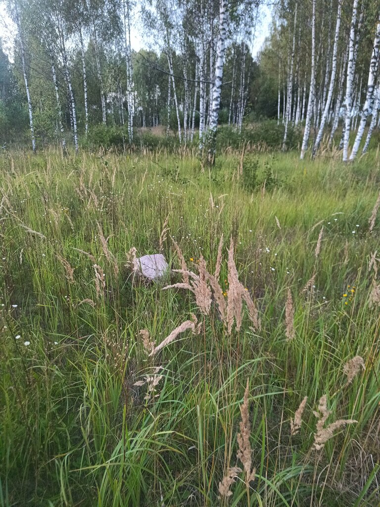 Anıt, heykel Казакам М.И. Платова, Smolenskaya oblastı, foto