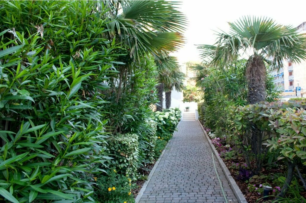 Otel Hotel Bellevue, Dünya, foto