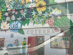 Coterra Coffee Roasters (43A, 8A Street, Umm Ramool, Deira, Dubai), kahve dükkanı  Dubai'den