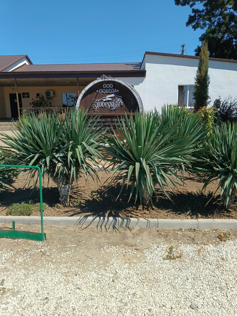 Tarım ürünleri firmaları Победа, Krasnodarski krayı, foto