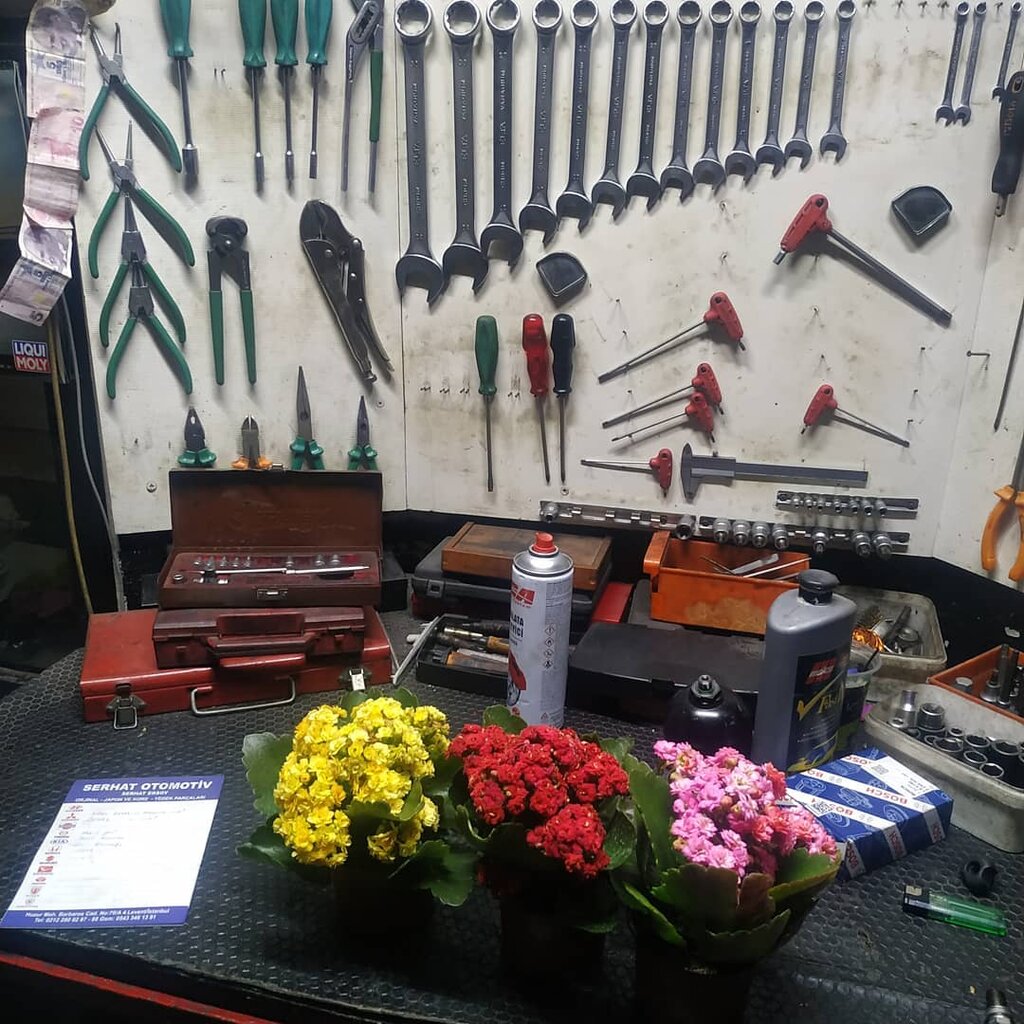 Otomobil servisi Maestro Servis, İstanbul, foto