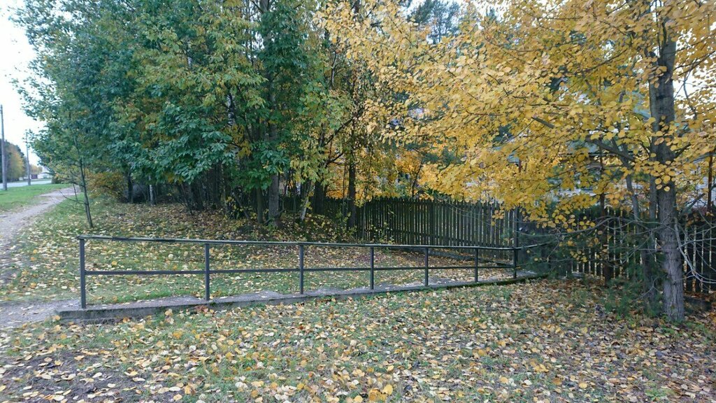 Evcil hayvan yetiştiricileri Plemennoy pitomnik Shegoday, Sosnoviy Bor, foto