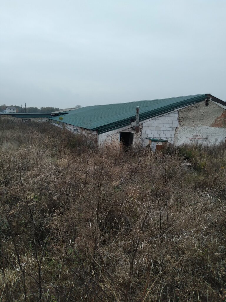 Tarım firmaları Ферма, Orlovskaya oblastı, foto