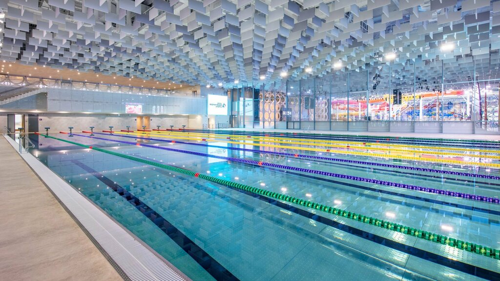 Yüzme havuzları Swim&scuba Academy, Moskova, foto