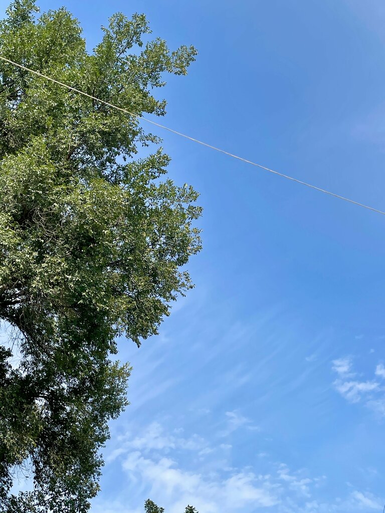 Kafe Магазин куриного мяса, Gülistan, foto