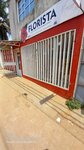 FLorista (Luanda, Avenida Pedro de Castro Van Dúnem Loy), çiçekçiler  Loanda'dan