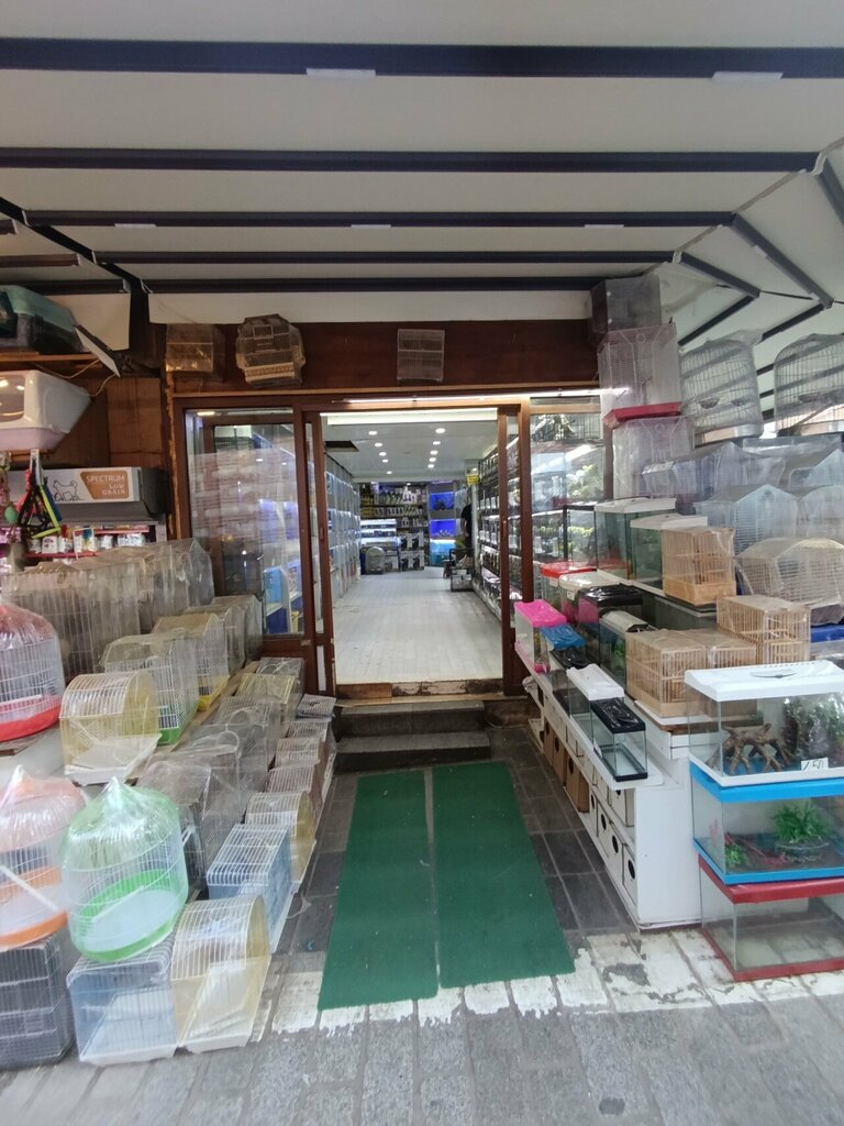 Akvaryumlar Japon Akvaryum, İstanbul, foto