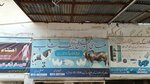 Abbasi Chicken Shop (No:4, Sector G-10, G-10/4), kasap, şarküteri  Islamabad'dan