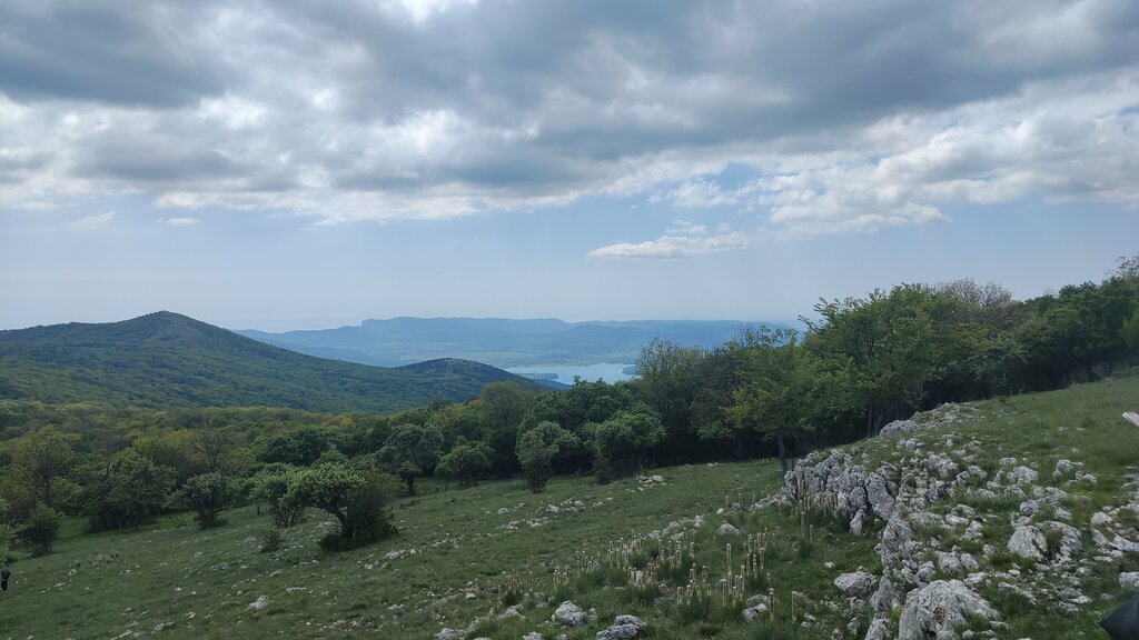 Dağ zirvesi Гора Койназ-Барбаш 812 метров, Kırım Cumhuriyeti, foto