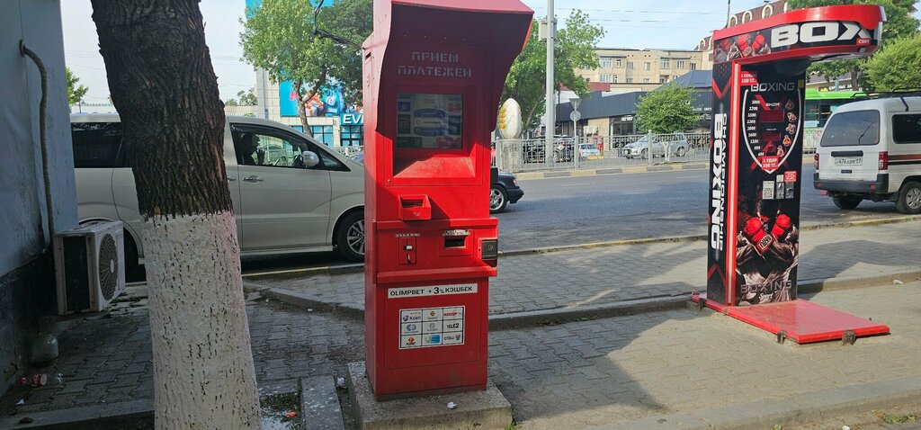 Ödeme terminali Qiwi, Çimkent (Şımkent), foto