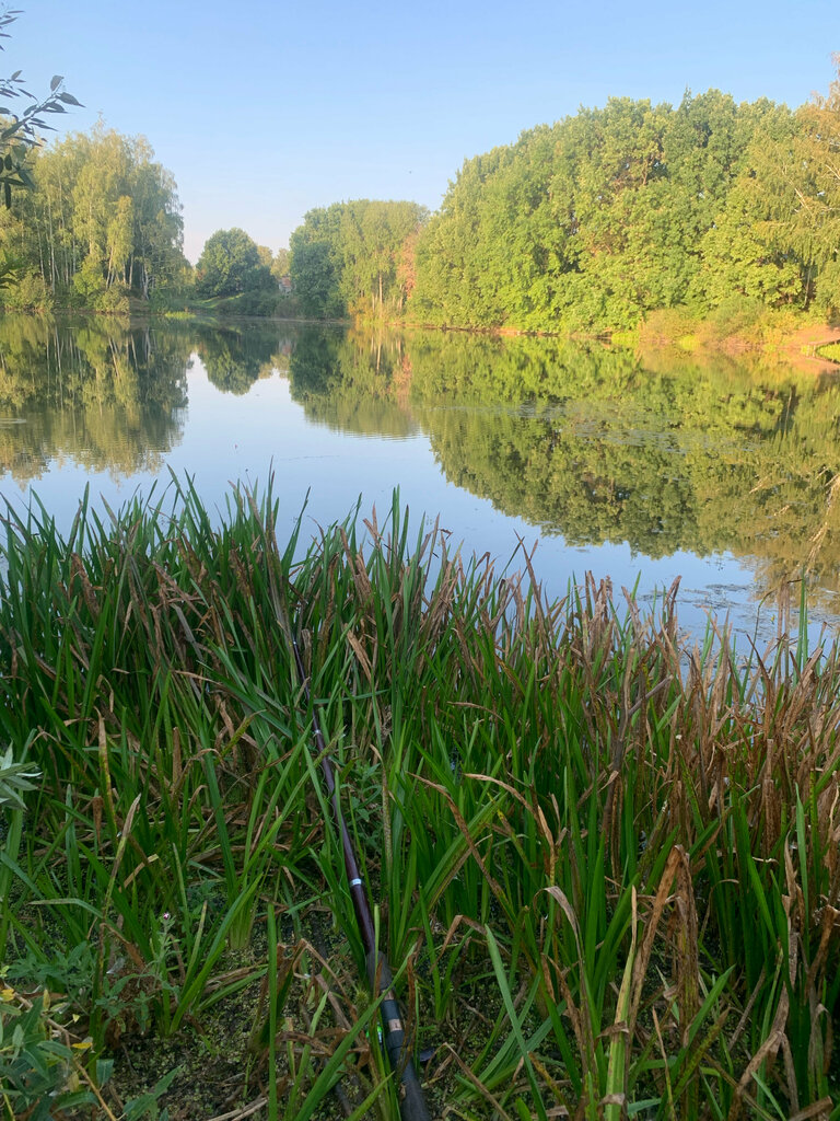 Bahçecilik dernekleri ve kuruluşları Овражки, Samarskaya oblastı, foto