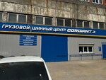 Cordiant Professional (No:6с4, South Industrial Hub), oto lastik tamiri  Riazan'dan
