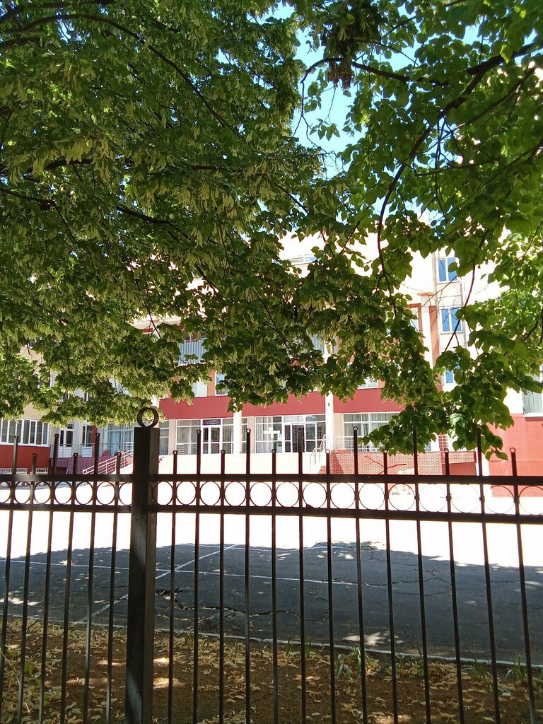Ortaokul Liceul Teoretic Constantin Negruzzi, Kişinev, foto