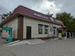 Sova (Republic Avenue No:13/3), kahve dükkanları  Temirtav'dan