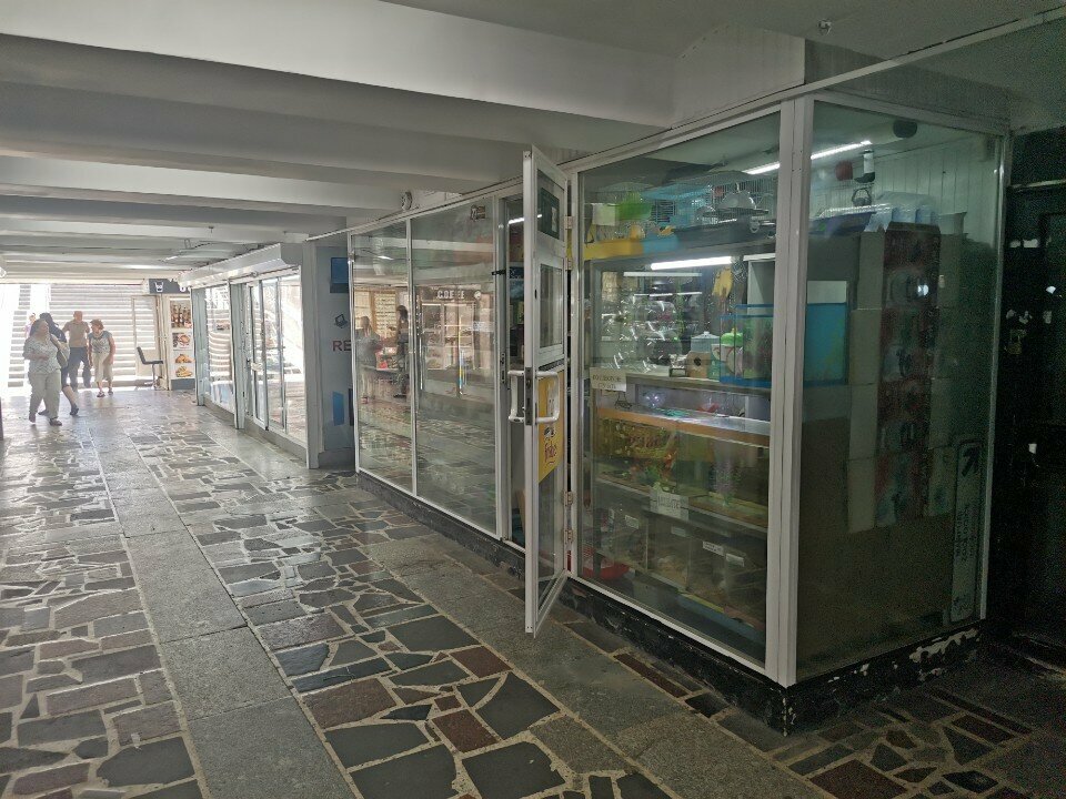 Petshop Magazin de Animale de Ompanie, Kişinev, foto