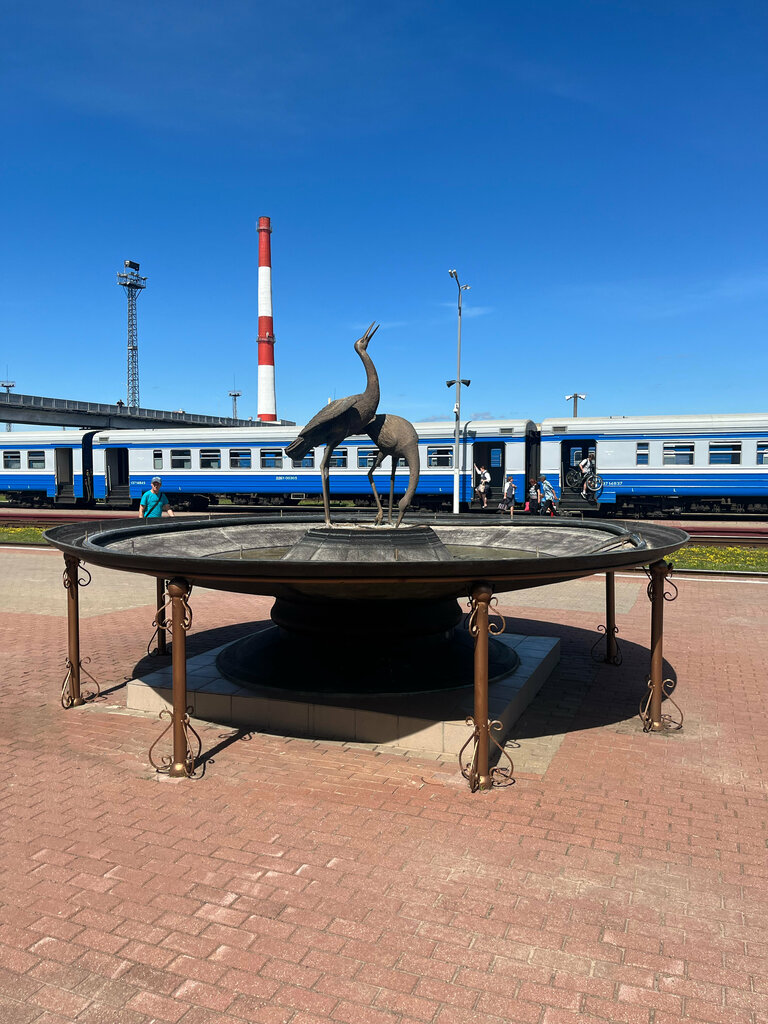 Çeşme Аисты, Polotsk, foto