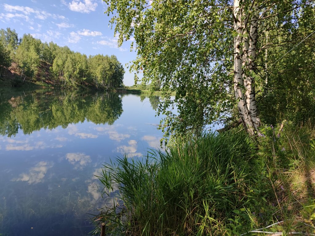Plaj Пляж, Tulskaya oblastı, foto
