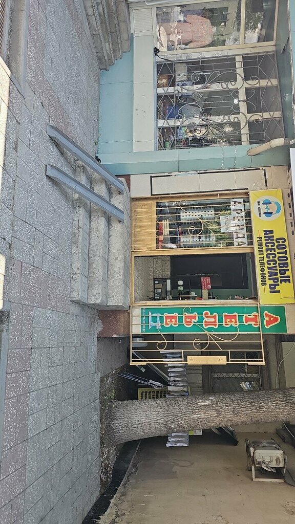 Noterler Notary Spanbekova D. U., Çimkent (Şımkent), foto