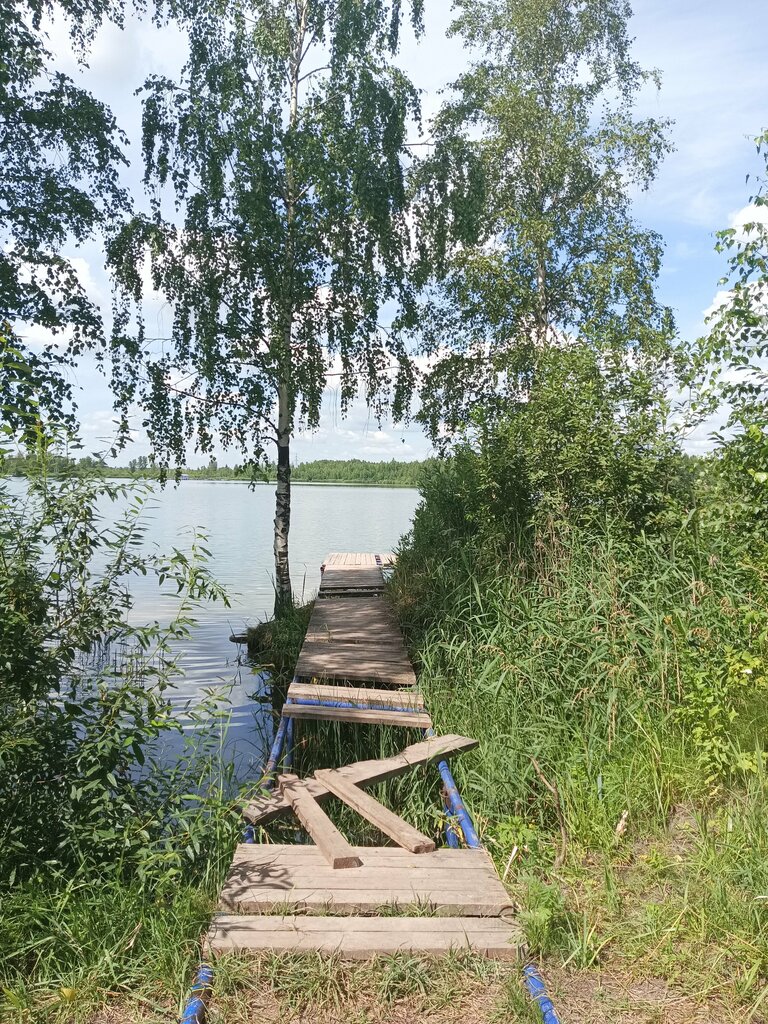 Plaj Пляж, Yaroslavskaya oblastı, foto