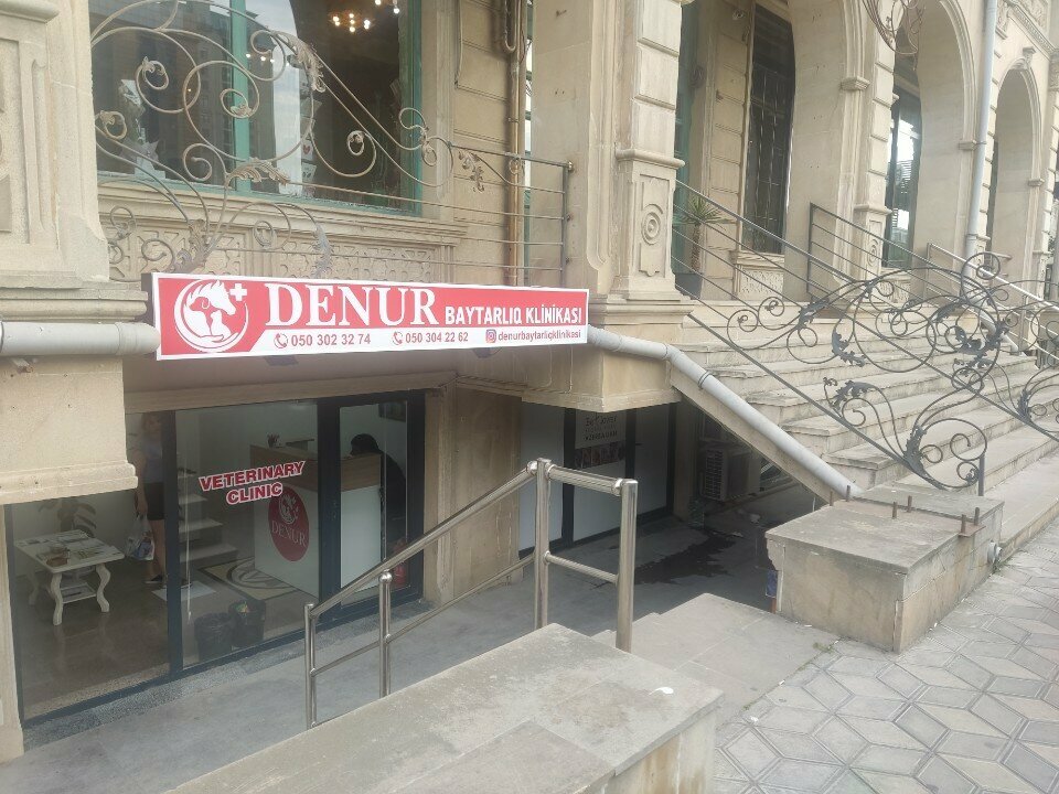Veteriner klinikleri Denur vet, Bakü, foto