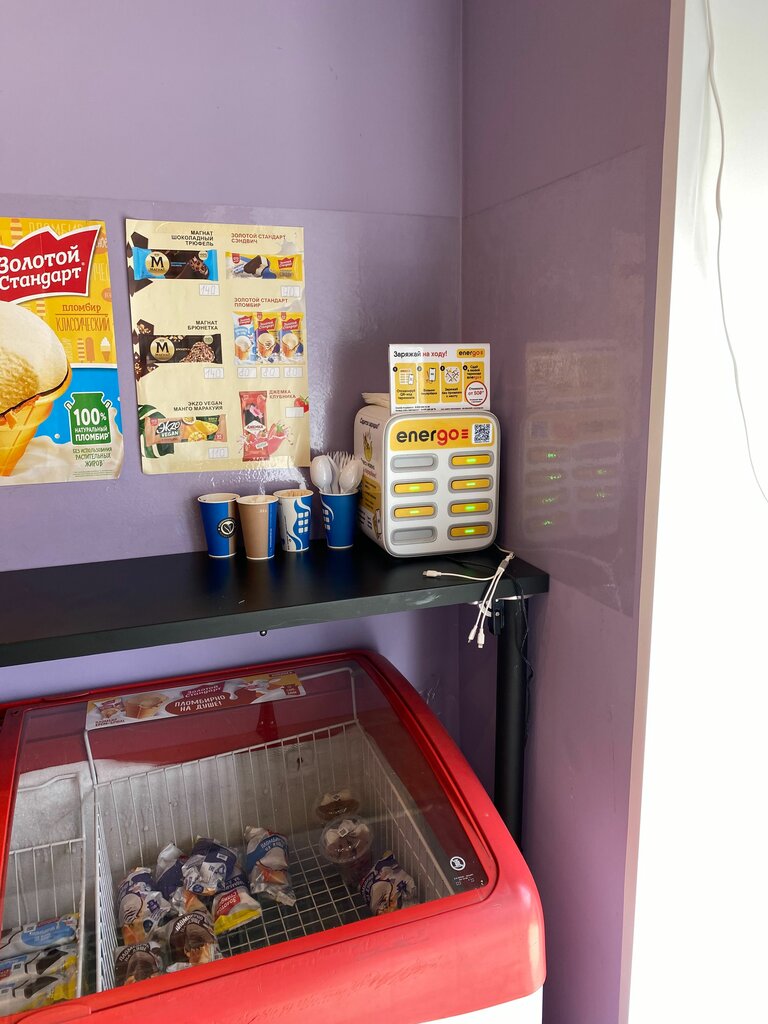 Şarj cihazı kiralama Energo, Moskova, foto