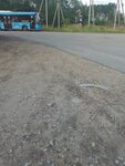 Николо-Малица (Tver Region, Kalininskiy munitsipalny okrug, derevnya Nikolo-Malitsa, Lesnaya ulitsa), toplu taşıma durağı  Tverskaya oblastından