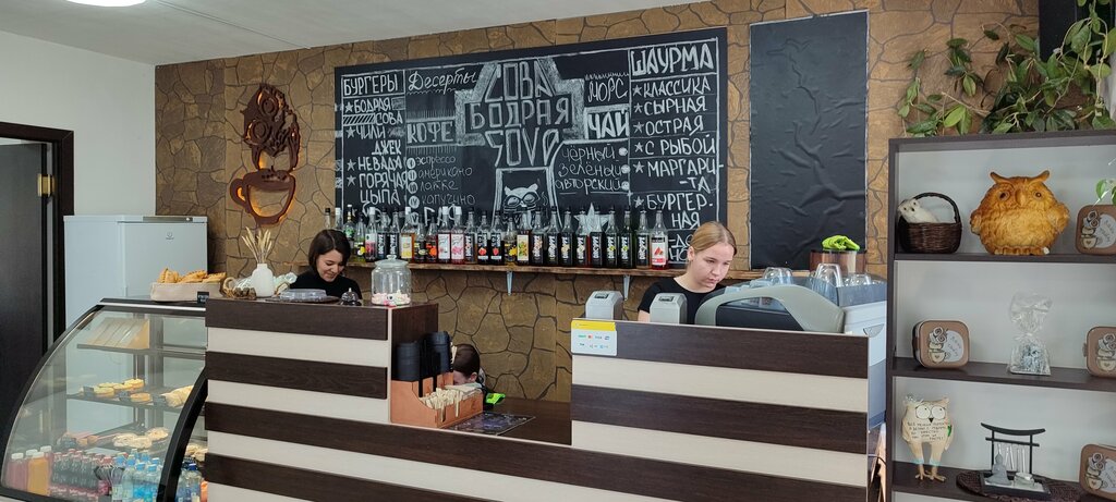 Kahve dükkanları Бодрая Сова, Novosibirskaya oblastı, foto