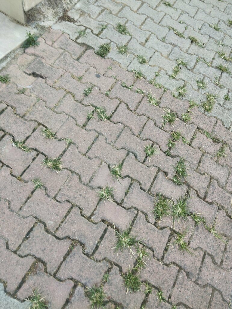 Market Çağla Gıda, İstanbul, foto