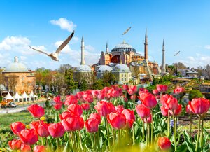 Istanbul, Turkey (İstanbul, Kartal, Cevizli Mah., İstanbul Sok.), otel  İstanbul'dan