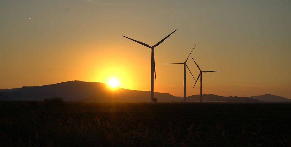 Tarım ürünleri firmaları Kadıoğlu Ticaret, İzmir, foto
