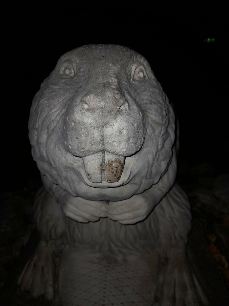 Park, sokak heykeli Бобр, Vladimir, foto