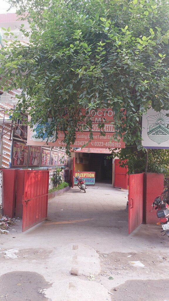 Fen lisesi, sosyal bilimler lisesi Engineers and doctors academy, Lahor, foto