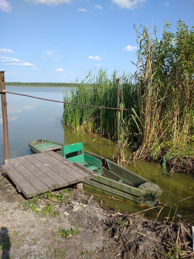 Piknik alanı Место для пикника, Tambovskaya oblastı, foto